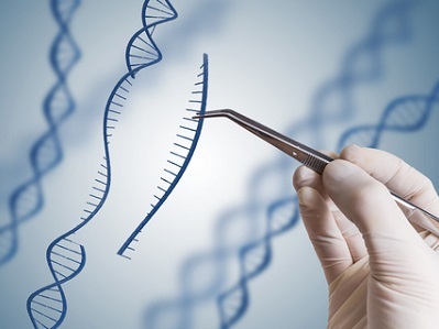 CRISPR C-to-G DNA Base Editor Expands Precision Genome Editing