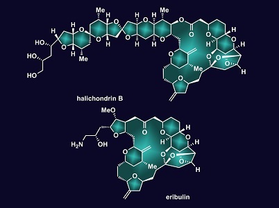 Reversal Speeds Creation of Important Molecule