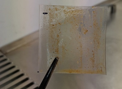 Bacteria Stick to Plastic in Deep Sea to Travel Around the Ocean