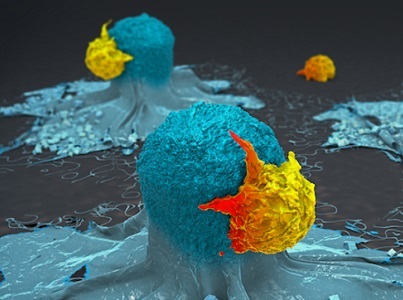 Cancer Drug Toxicity Study Leads to Critical Discovery