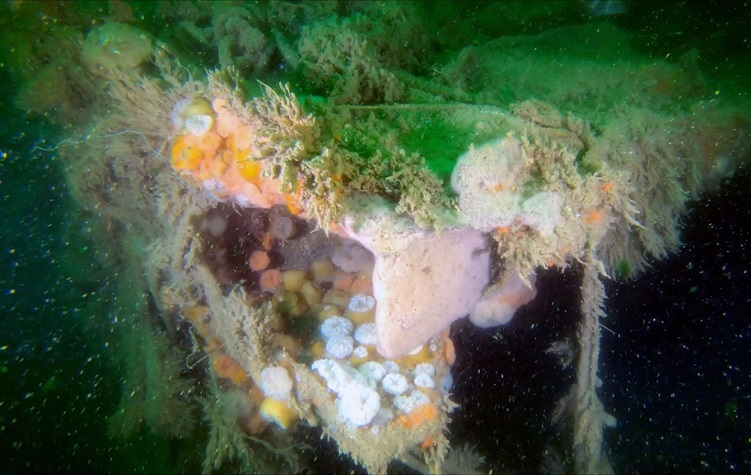 80 Years Later, Nazi Shipwreck is Still Polluting the North Sea