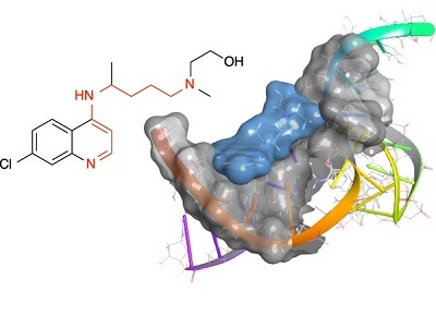 Students Discover New Class of Compounds that Target RNA