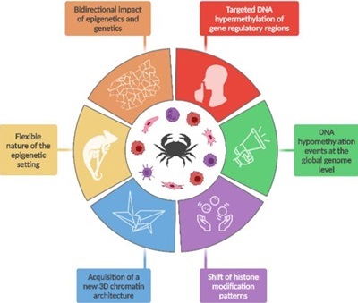 Paper Offers Clearer Vision of Epigenetic Hallmarks that Define Cancer