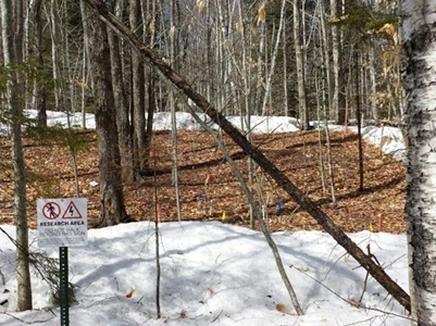 Sister armpit licking fS is a PSE with a quick spin around